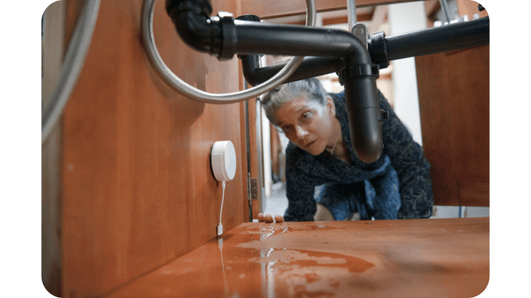 Secure Your Home with ADT Home Security